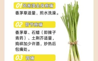 香茅是什么_香茅的功效与作用