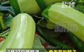 瓠子苦能吃吗_瓠子苦味有毒吗