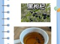 黑枸杞泡水喝的禁忌人群_哪些人不能喝黑枸杞茶