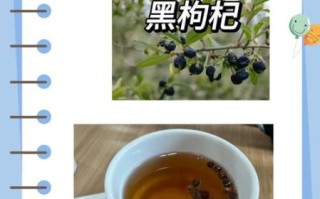 黑枸杞泡水喝的禁忌人群_哪些人不能喝黑枸杞茶