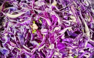 紫色洋白菜怎么炒好吃_紫色洋白菜凉拌做法