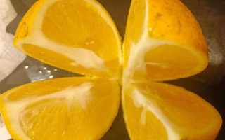 香橙怎么保存不会坏_香橙可以放多久