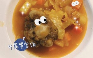 牛尾罗宋汤怎么做_牛尾罗宋汤家常做法