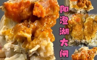 大闸蟹哪里最正宗_阳澄湖大闸蟹怎么挑