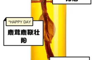 鹿鞭酒的功效与作用_鹿鞭酒适合什么人喝