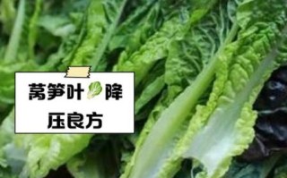 莴笋叶子能吃吗_莴笋叶子怎么吃