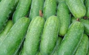 节瓜图片怎么拍好看_节瓜高清图鉴哪里找