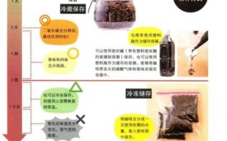 咖啡豆怎么磨成粉_咖啡豆怎么煮出好咖啡