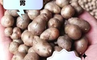 山药豆怎么吃_山药豆用去皮吗