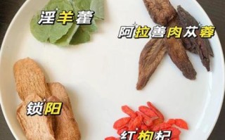 肉苁蓉泡水喝的正确方法_肉苁蓉泡水一天喝几次