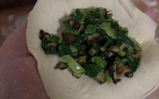 香菇油菜包子怎么做_香菇油菜包子馅怎么调
