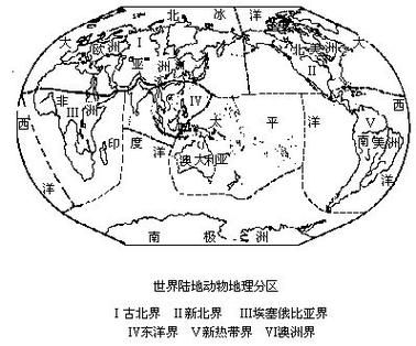 动物地理区划有哪些_全球六大界如何划分-第1张图片-山城妙识