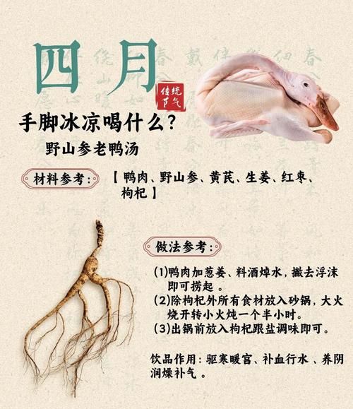 鸭汤怎么炖好喝_老鸭汤的做法步骤-第1张图片-山城妙识