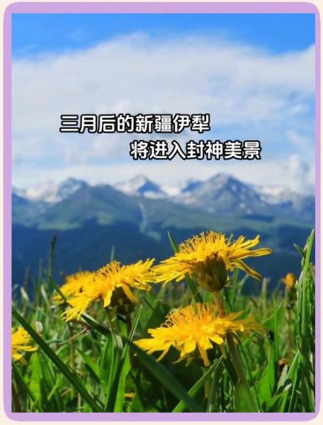 伊犁旅游最佳时间_伊犁有哪些必去景点-第2张图片-山城妙识 伊犁旅游最佳时间_伊犁有哪些必去景点-第2张图片-山城妙识