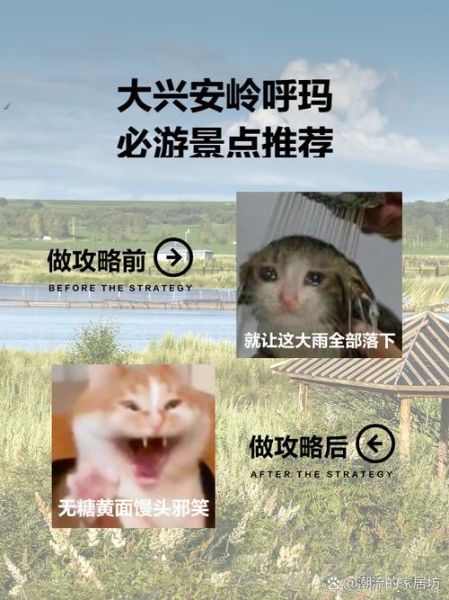 呼玛旅游攻略_呼玛有什么好玩的-第3张图片-山城妙识 呼玛旅游攻略_呼玛有什么好玩的-第3张图片-山城妙识