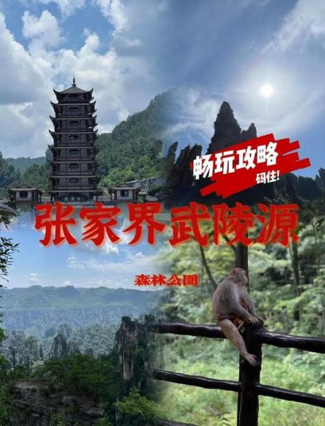 武陵源有哪些景点_武陵源门票多少钱-第2张图片-山城妙识