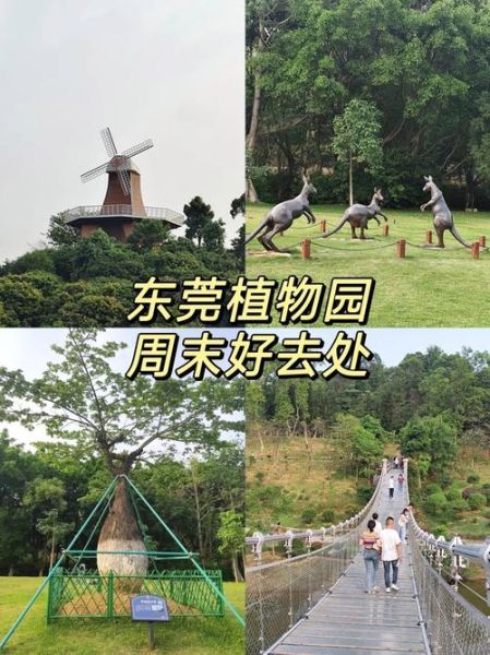 东莞植物园门票多少钱_东莞植物园有什么好玩的-第1张图片-山城妙识 东莞植物园门票多少钱_东莞植物园有什么好玩的-第1张图片-山城妙识