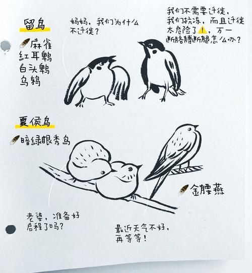 鸟地理分布_鸟类迁徙路线怎么查-第2张图片-山城妙识