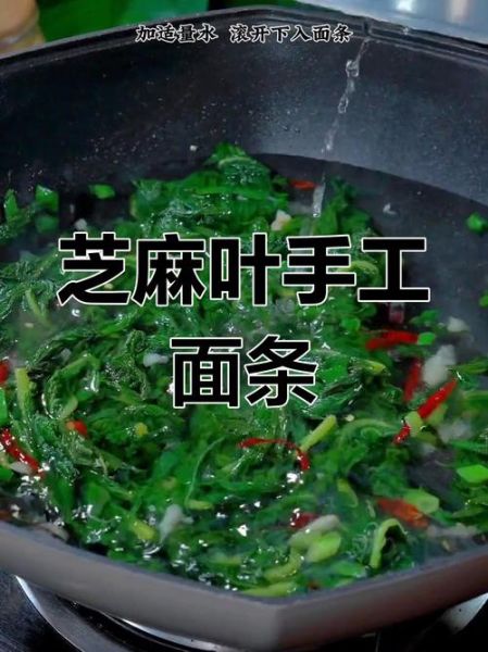 新鲜芝麻叶面条怎么做_芝麻叶面条的家常做法-第3张图片-山城妙识 新鲜芝麻叶面条怎么做_芝麻叶面条的家常做法-第3张图片-山城妙识
