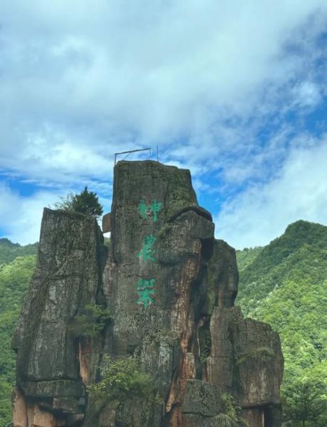 神农架景点有哪些_神农架必去景点推荐-第2张图片-山城妙识 神农架景点有哪些_神农架必去景点推荐-第2张图片-山城妙识