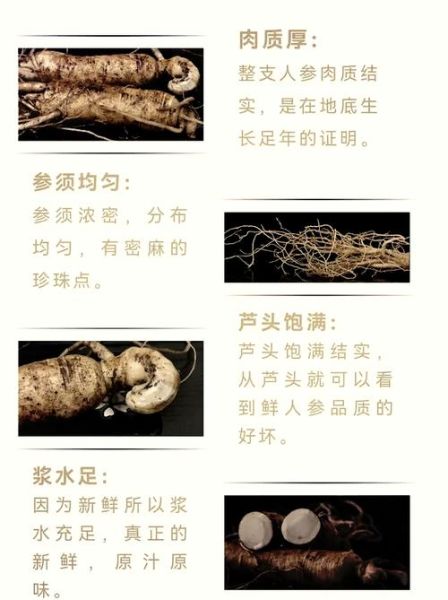 新鲜人参怎么吃_鲜人参做法大全-第2张图片-山城妙识