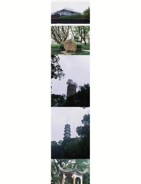 江心屿门票价格_江心屿一日游攻略-第1张图片-山城妙识 江心屿门票价格_江心屿一日游攻略-第1张图片-山城妙识