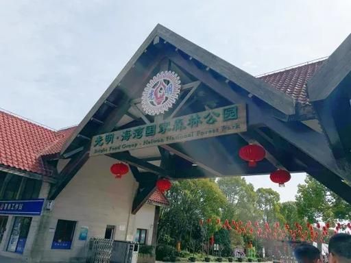 奉贤一日游去哪里好玩_奉贤海湾旅游区门票多少钱-第2张图片-山城妙识 奉贤一日游去哪里好玩_奉贤海湾旅游区门票多少钱-第2张图片-山城妙识