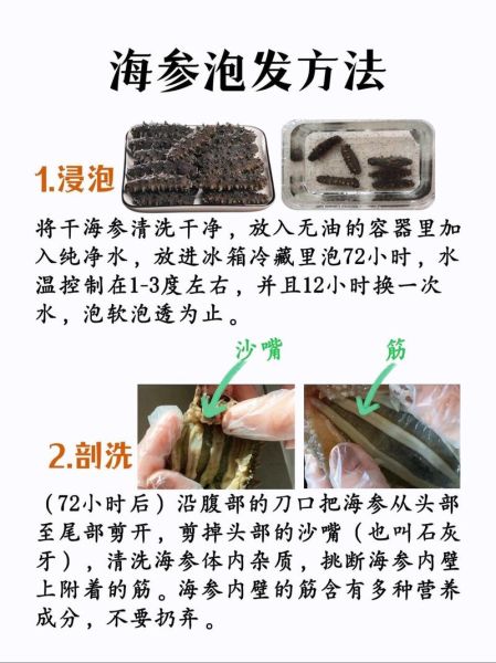 鲍汁海参怎么做_海参泡发多久才软-第3张图片-山城妙识 鲍汁海参怎么做_海参泡发多久才软-第3张图片-山城妙识