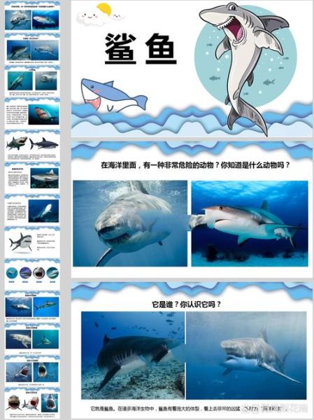 地理鲨是什么_地理鲨分布在哪里-第1张图片-山城妙识