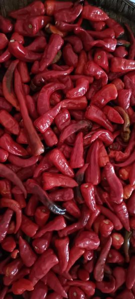 家庭自制豆瓣酱怎么做_正宗川味豆瓣酱配方-第2张图片-山城妙识