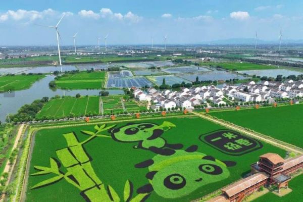 南方地区为什么被称为“鱼米之乡”_长江中下游平原农业特点-第1张图片-山城妙识