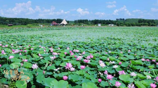 绥化市旅游景点有哪些_绥化周边一日游去哪好-第1张图片-山城妙识