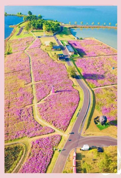 蔡甸有哪些好玩的景点_蔡甸一日游最佳路线-第1张图片-山城妙识