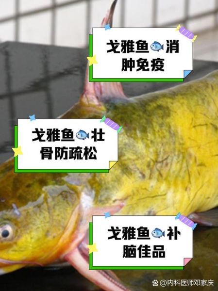 戈鱼怎么做好吃_戈鱼的做法大全-第2张图片-山城妙识