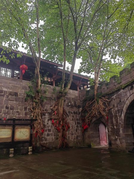 合川古镇一日游攻略_合川古镇有什么好玩的-第1张图片-山城妙识 合川古镇一日游攻略_合川古镇有什么好玩的-第1张图片-山城妙识