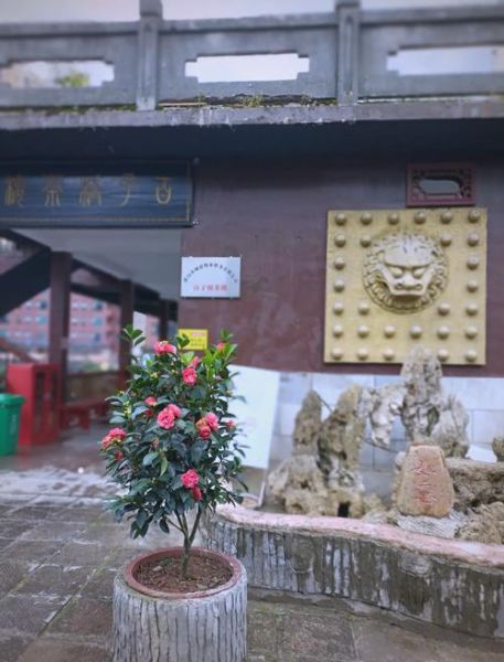 都匀市旅游景点有哪些_都匀旅游必去景点推荐-第2张图片-山城妙识