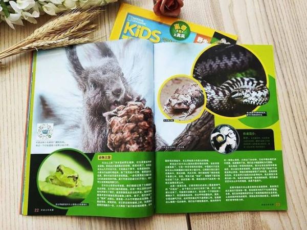 美国地理杂志订阅价格_如何订阅美国地理杂志-第3张图片-山城妙识