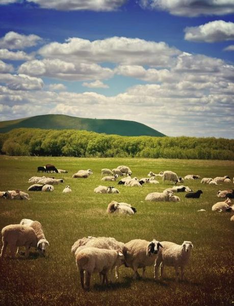 锡林郭勒草原旅游攻略_锡林郭勒有哪些必去景点-第2张图片-山城妙识