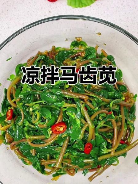 凉拌马齿苋怎么做_马齿苋焯水几分钟-第3张图片-山城妙识