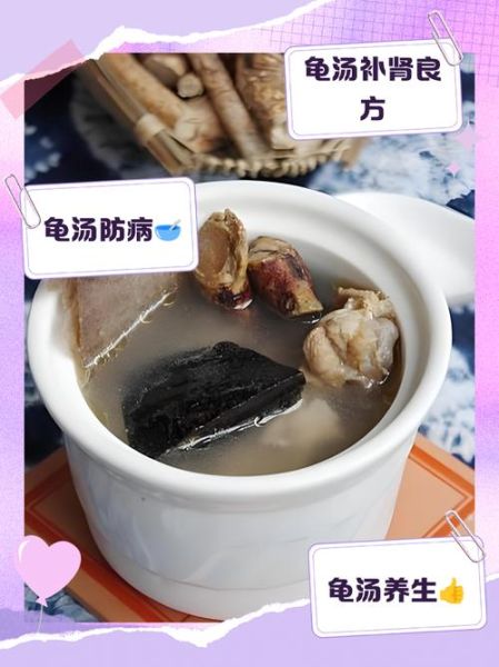 乌龟汤怎么炖_乌龟汤做法步骤详解-第1张图片-山城妙识