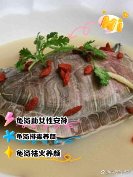 乌龟汤怎么炖_乌龟汤做法步骤详解-第2张图片-山城妙识