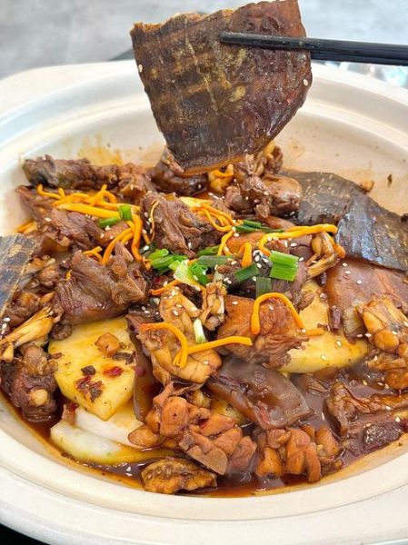 红烧甲鱼家常做法_红烧甲鱼怎么做才入味-第1张图片-山城妙识