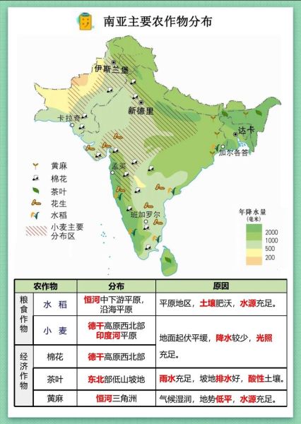 农业地理区划有哪些_农业地理因素如何影响作物分布-第3张图片-山城妙识 农业地理区划有哪些_农业地理因素如何影响作物分布-第3张图片-山城妙识