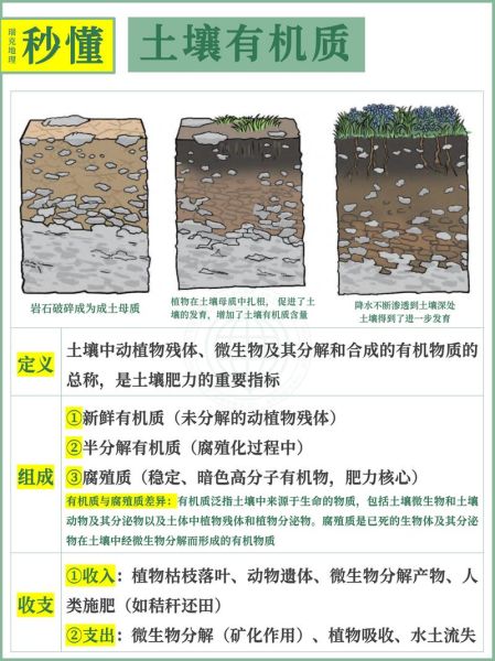 土壤地理学课后答案_土壤形成因素有哪些-第2张图片-山城妙识