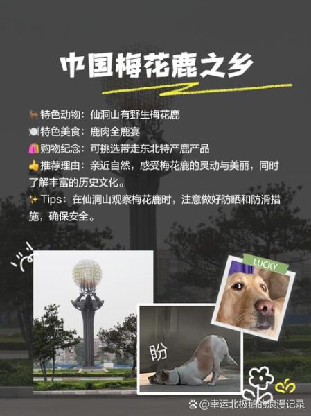 拜泉有哪些景点_拜泉旅游必去景点推荐-第2张图片-山城妙识