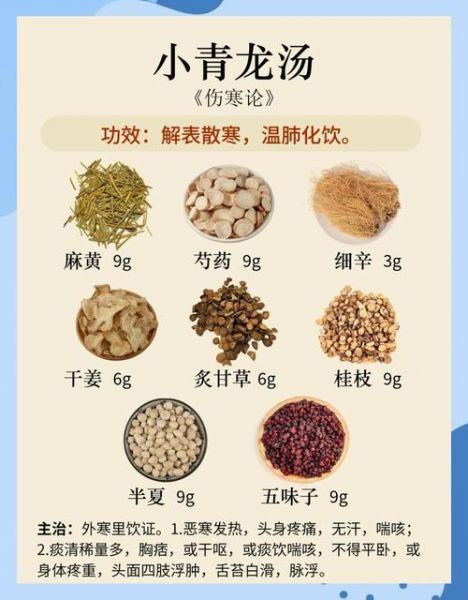 小青龙汤怎么熬_小青龙汤配方比例-第1张图片-山城妙识
