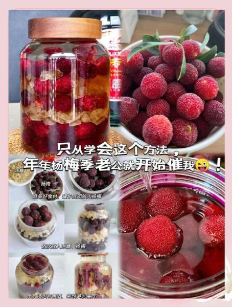 杨梅酒怎么做_自制杨梅酒比例是多少-第1张图片-山城妙识