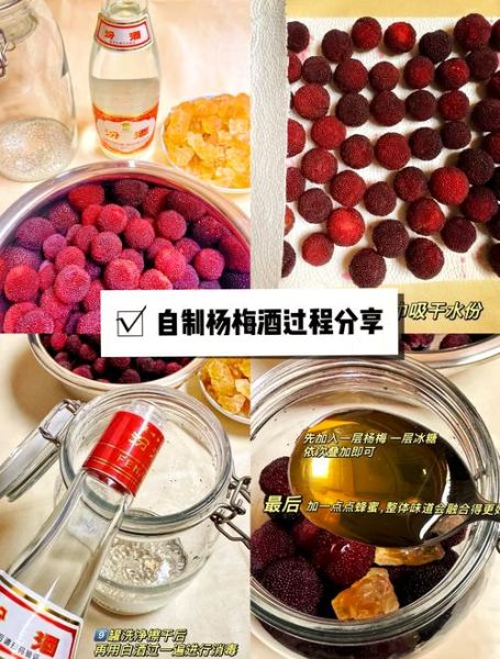 杨梅酒怎么做_自制杨梅酒比例是多少-第3张图片-山城妙识