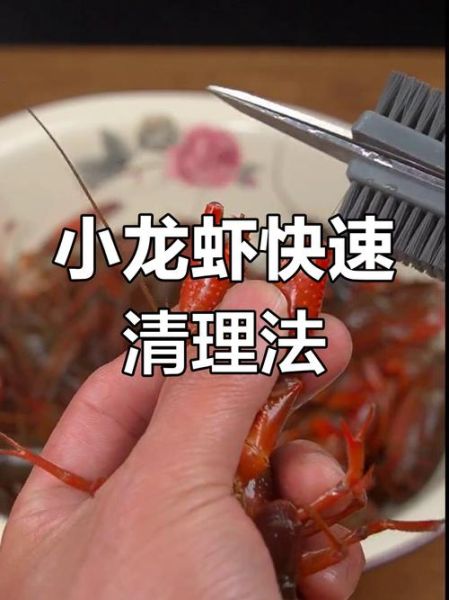 家常小龙虾最简单做法_小龙虾怎么清洗最干净-第1张图片-山城妙识
