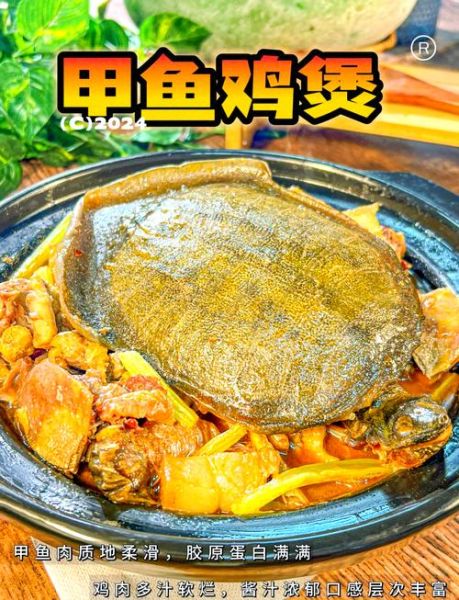 甲鱼烧鸡怎么做_甲鱼烧鸡最正宗的做法-第2张图片-山城妙识 甲鱼烧鸡怎么做_甲鱼烧鸡最正宗的做法-第2张图片-山城妙识